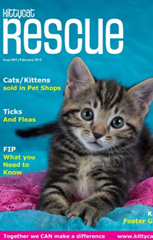 Kittycat Rescue Magazine, Online Kittycat Rescue English magazine