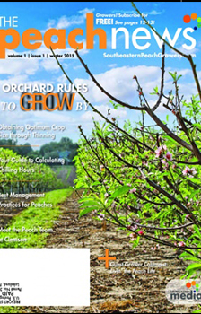 The Peach News Magazine, Online The Peach News English magazine